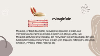 MIOGLOBIN HEMOGLOBIN- KELOMPOK 2.pptx