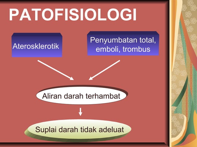 Miokard infark | PPT