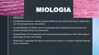 MIOLOGIA.pptx