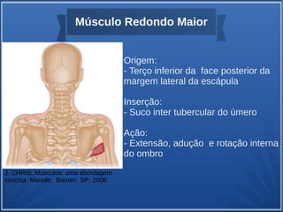 Atlas prático de miologia | ODP