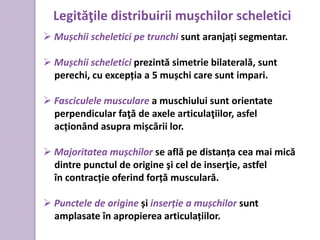 Miologie generală.pdf