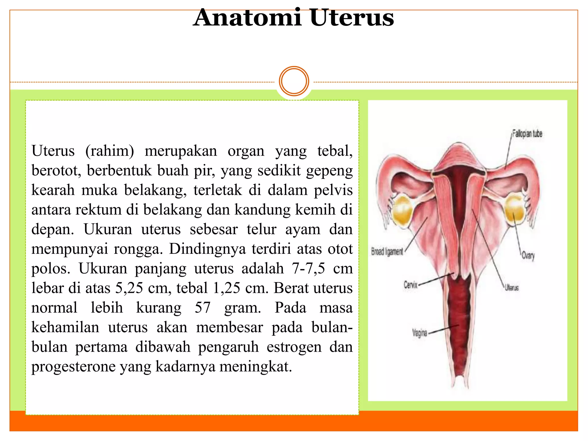 MIOMA_UTERI.pptx