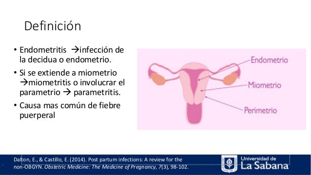 Miometritis. Farmacología clínica