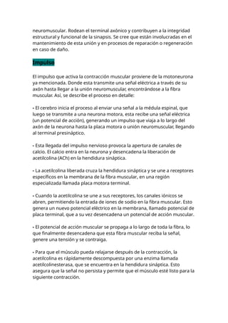 miopatías y distrofias (anatomia).docx.estudio | DOCX