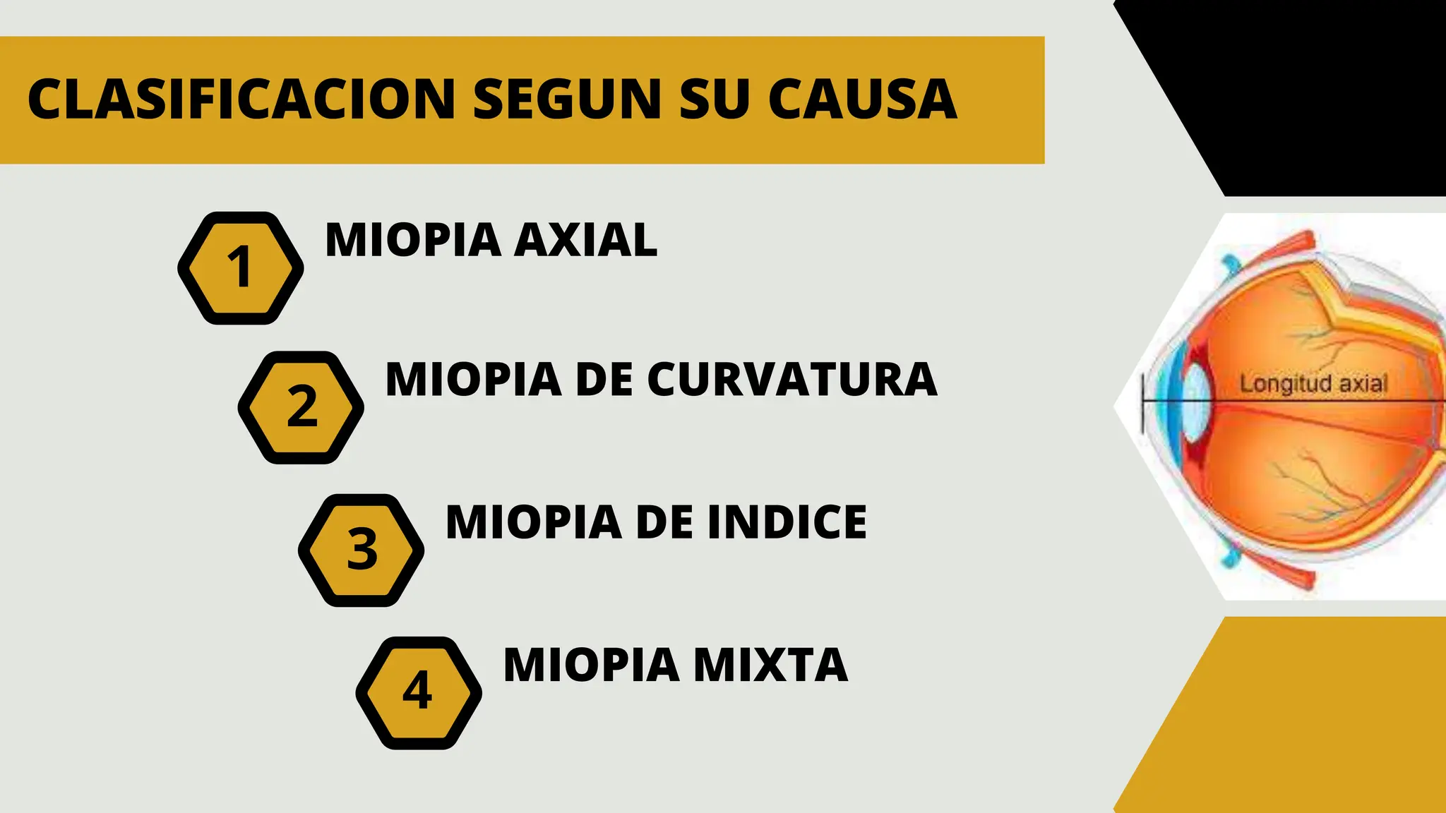 miopia y daltonismo Patología Visual y Ocular 03MOD | PPT