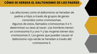 miopia y daltonismo Patología Visual y Ocular 03MOD | PPTX | Eye and Vision Conditions ...