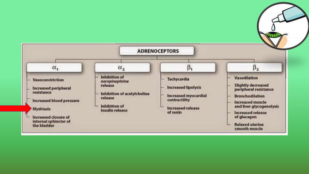 Miotics and mydriatics | PPTX | Eye and Vision Conditions | Diseases ...