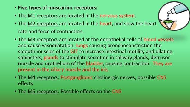 Miotics and mydriatics | PPTX | Eye and Vision Conditions | Diseases ...