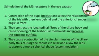 Miotics and mydriatics | PPTX | Eye and Vision Conditions | Diseases ...