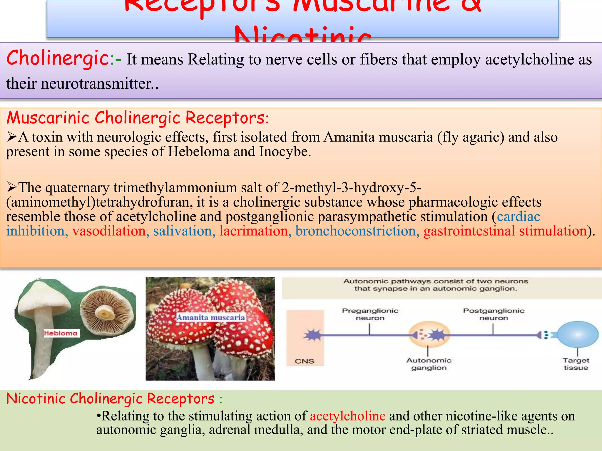 Miotics mydriatics cycloplegics | PPTX