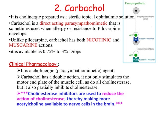 Miotics mydriatics cycloplegics | PPTX | Eye and Vision Conditions ...