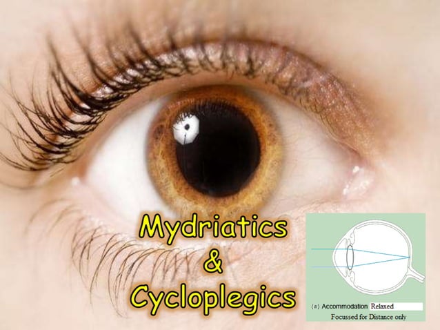 Miotics mydriatics cycloplegics | PPTX | Eye and Vision Conditions ...