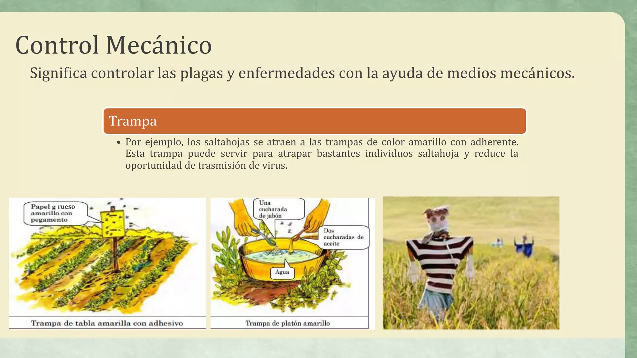 MANEJO INTEGRADO DE PLAGAS | PPT