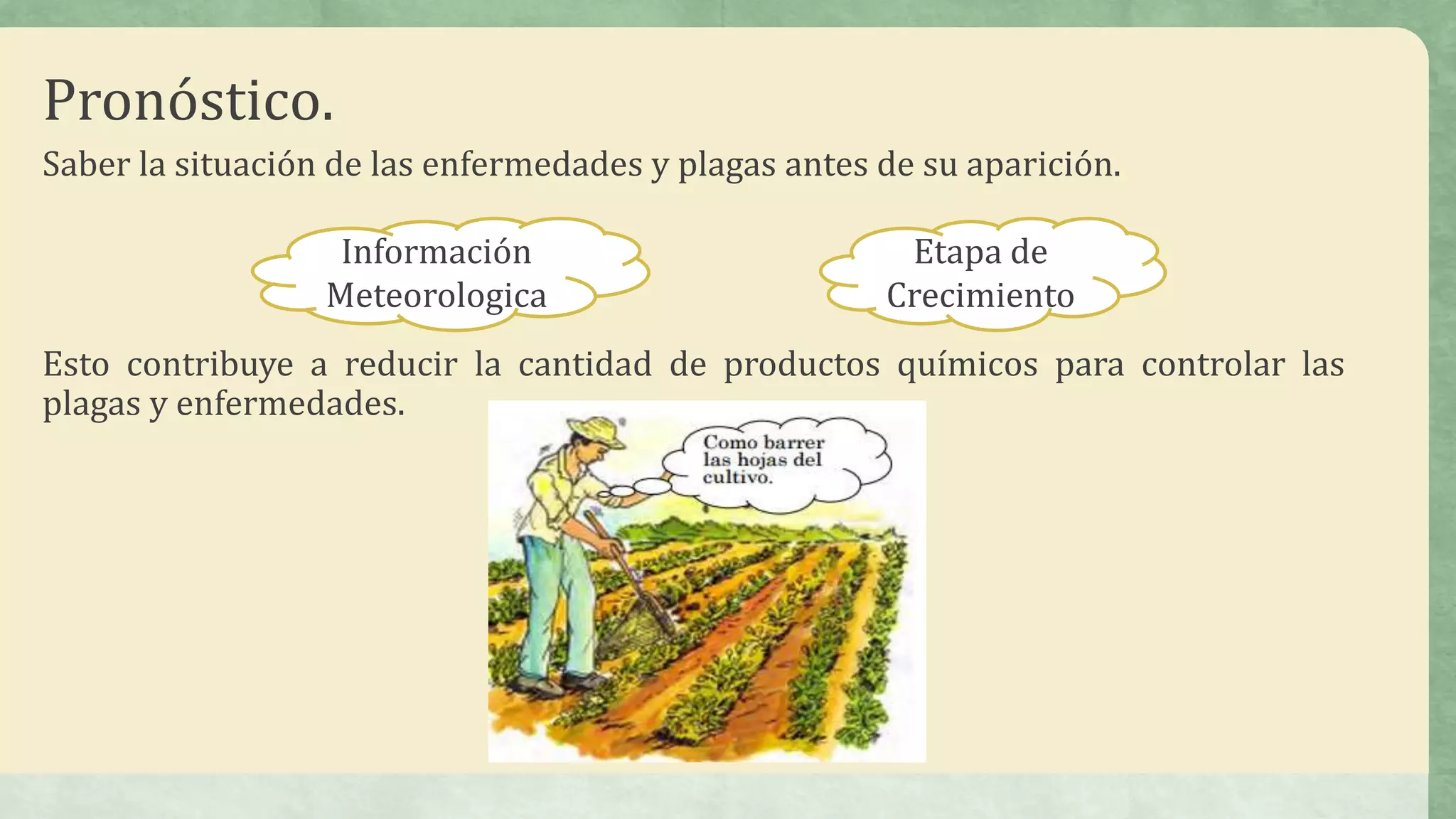 MANEJO INTEGRADO DE PLAGAS | PPTX