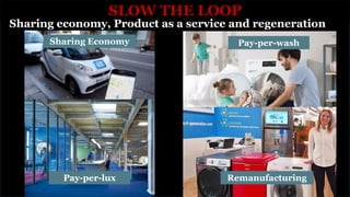 Innovation for the Circular Economy: insights from new business models ...