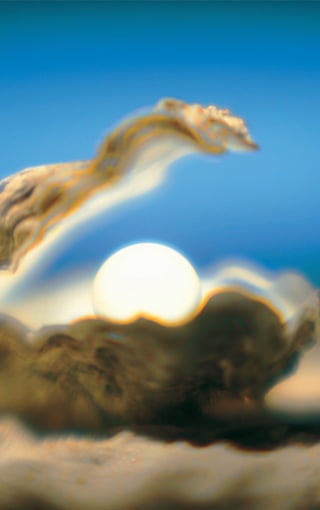 Mipa BC System | PDF