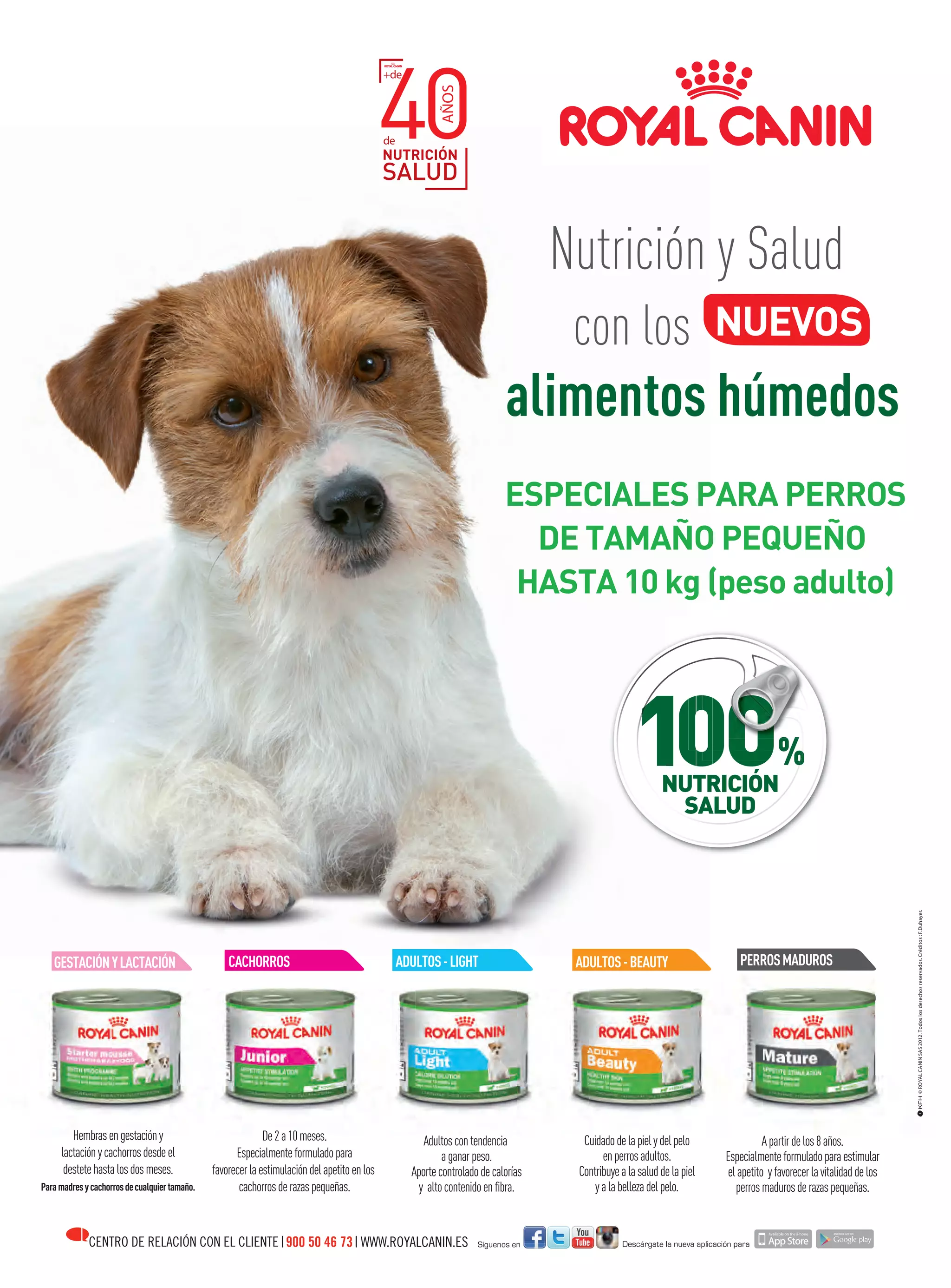 Mi perro y_yo_num2_marzo_2013 | PDF