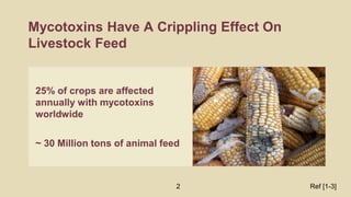 Soft Nanomaterial Technology to Measure Mycotoxin Contamination in ...