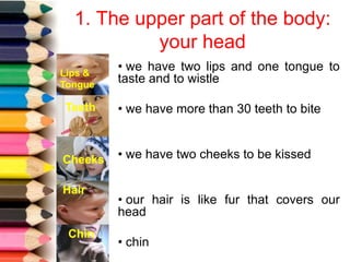 Your body | PPTX