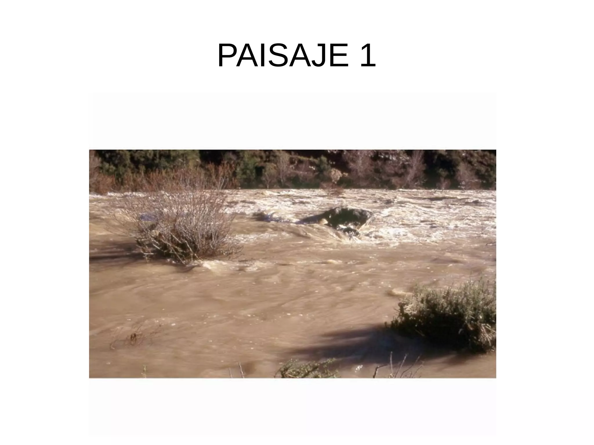 Mipresentacion | ODP