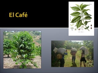 Mi Propio Auto2 | PPT