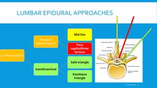 Minimally invasive pain and spine interventions for low back pain | PPTX