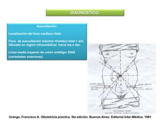 presentacion de vertice | PPTX