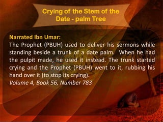 Miracles of Prophet Muhammad | PPSX