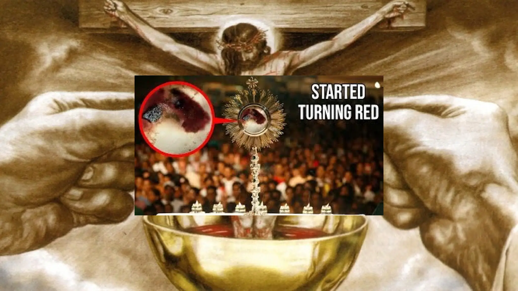 Miracles and Signs PowerPoint Presentation For Catholic Schools | PPTX