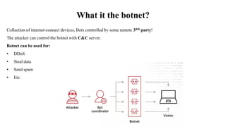 Deep Dive to Understanding the Mirai Botnet | PPT