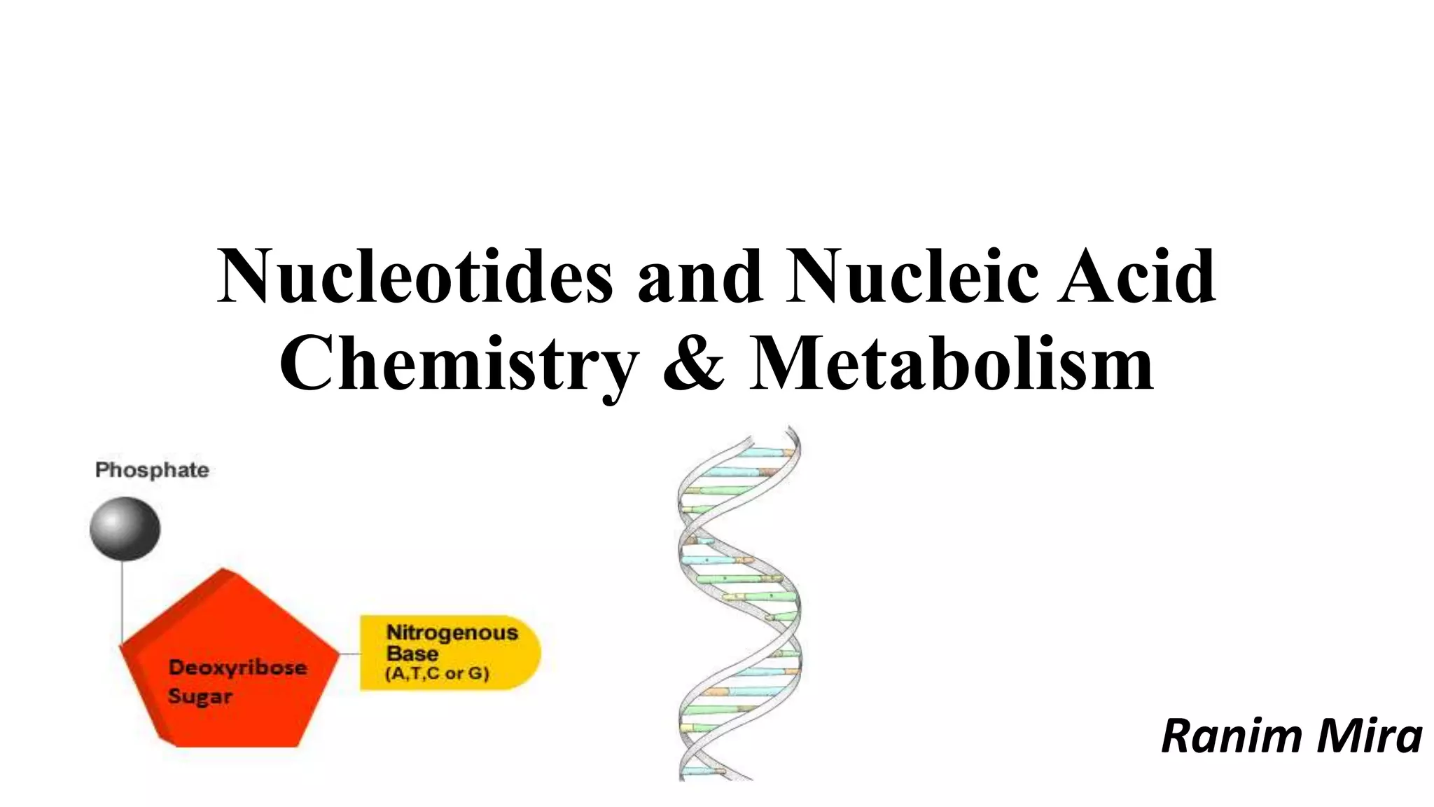Mira_Nucleotides_NucleicA_Chemistry_Metabolism.pptx