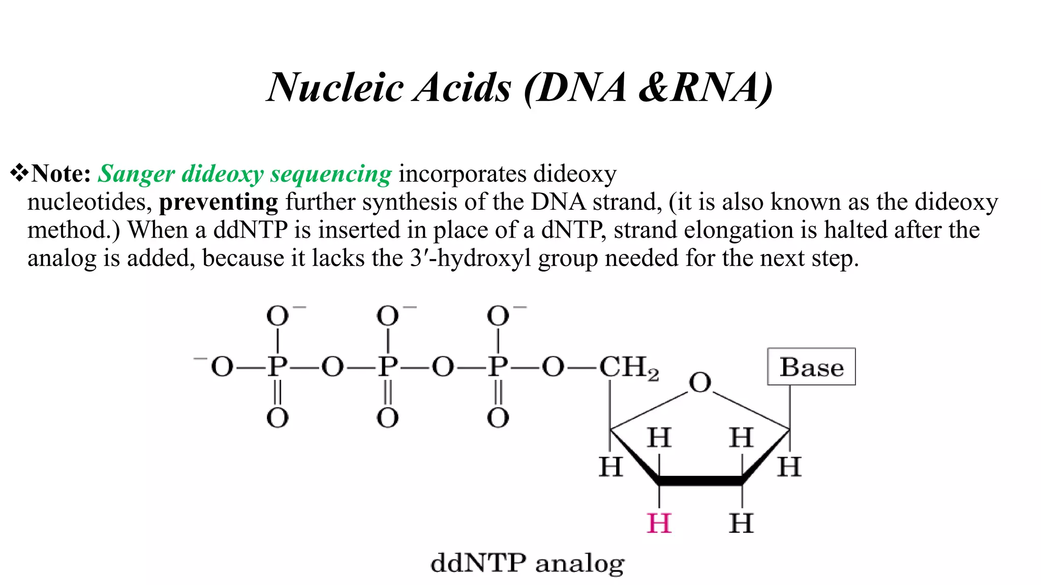 Mira_Nucleotides_NucleicA_Chemistry_Metabolism.pptx
