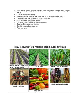 CHILLI (Capsicum annuum. L, - Solanaceae) PROCESSING FOR VALUE ADDED ...