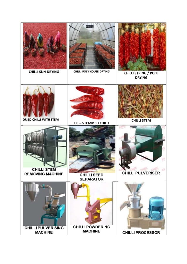 CHILLI (Capsicum annuum. L, - Solanaceae) PROCESSING FOR VALUE ADDED ...