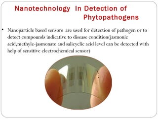 Nanotechnology scope and application in plant pathology | PPT