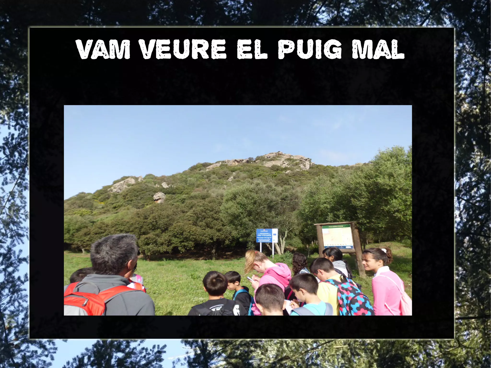 Mireia penya de l'indi | ODP