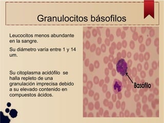 la sangre y sus componentes | ODP
