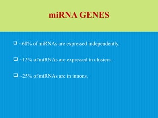 Role of Mirn 155 in thr regulation of lymhocyte | PPT