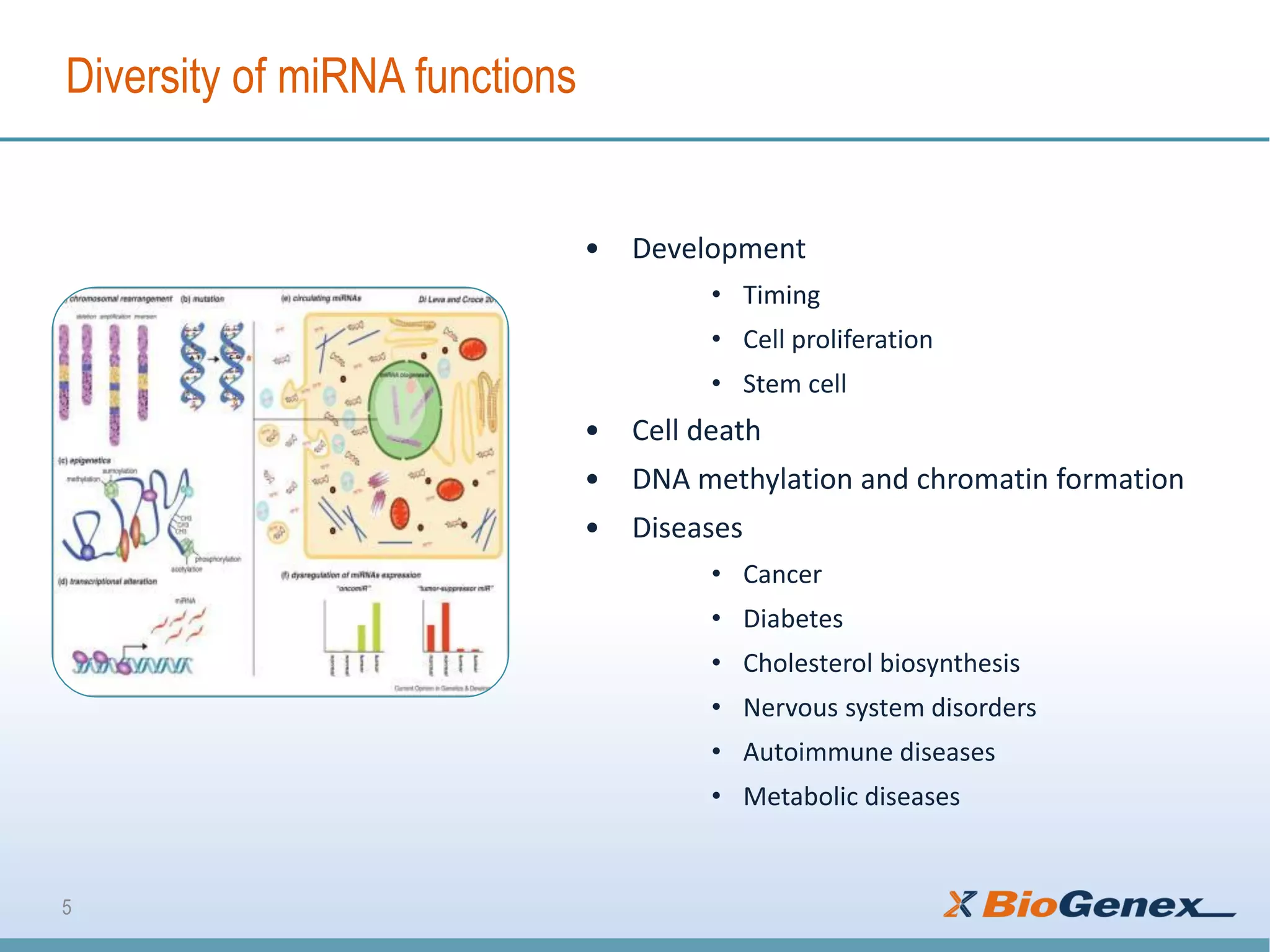 microRNA for Clinical Research and Tumor Analysis | PDF