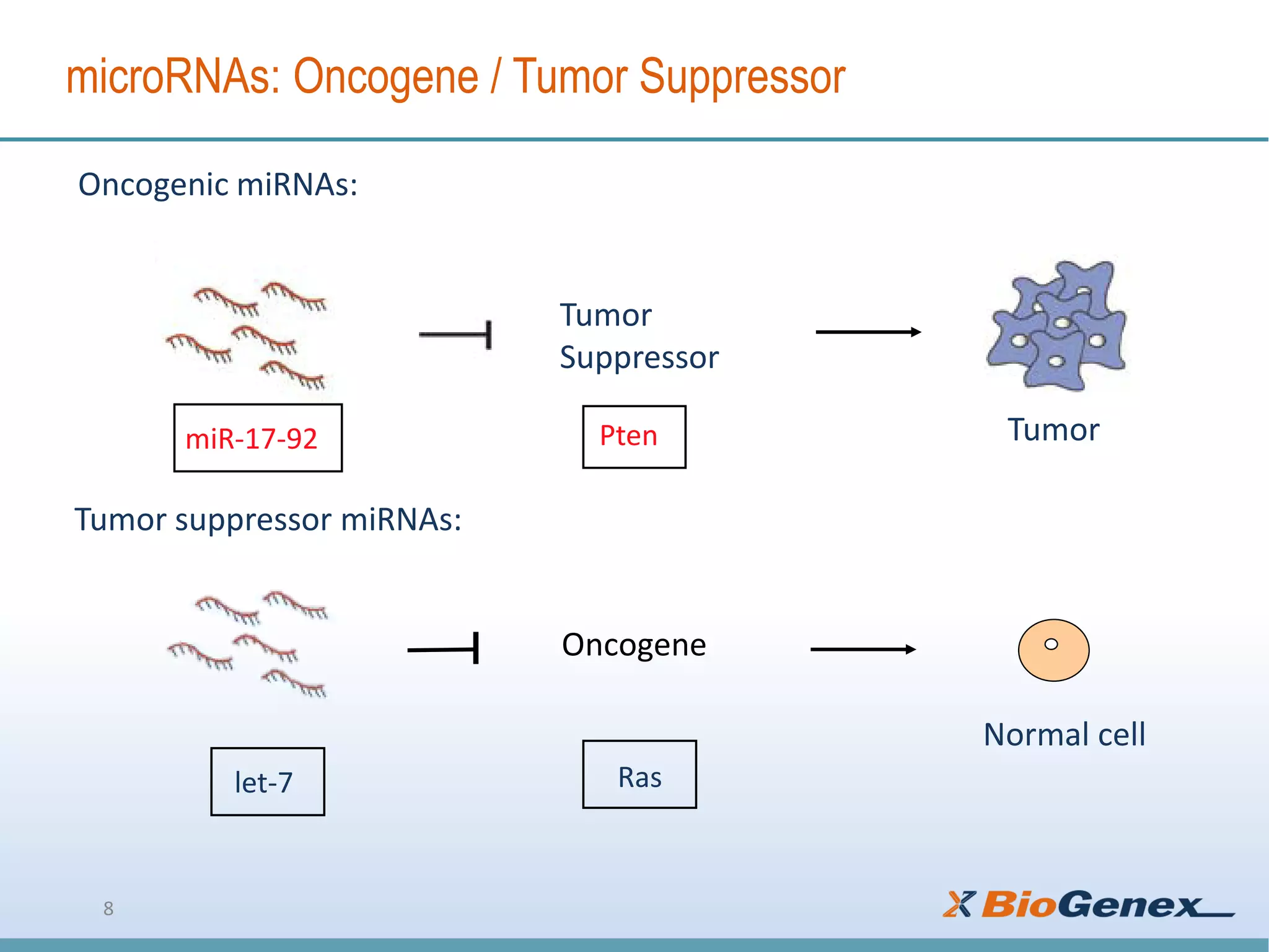 microRNA for Clinical Research and Tumor Analysis | PDF