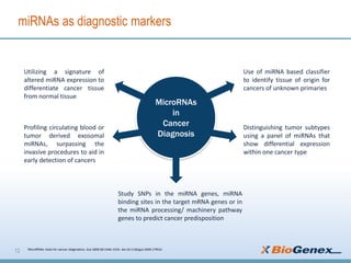 microRNA for Clinical Research and Tumor Analysis | PDF | Cancer ...