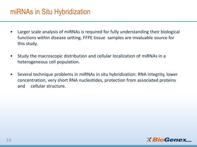 microRNA for Clinical Research and Tumor Analysis | PDF | Cancer | Diseases and Conditions