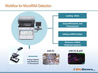 microRNA for Clinical Research and Tumor Analysis | PDF | Cancer ...