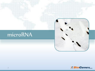 microRNA for Clinical Research and Tumor Analysis | PDF | Cancer ...
