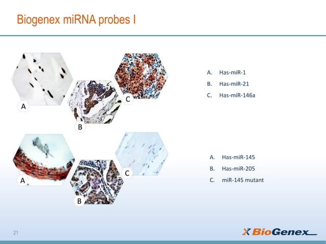 microRNA for Clinical Research and Tumor Analysis | PDF | Cancer | Diseases and Conditions