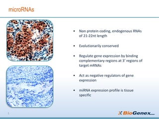 microRNA for Clinical Research and Tumor Analysis | PDF | Cancer ...