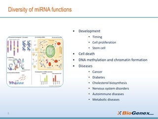 microRNA for Clinical Research and Tumor Analysis | PDF | Cancer ...