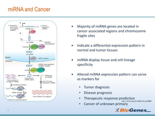 microRNA for Clinical Research and Tumor Analysis | PDF | Cancer ...