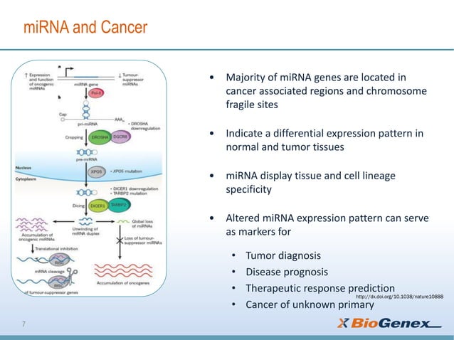 microRNA for Clinical Research and Tumor Analysis | PDF | Cancer | Diseases and Conditions
