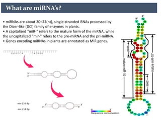 Mi rna and abiotic stress in plant | PDF